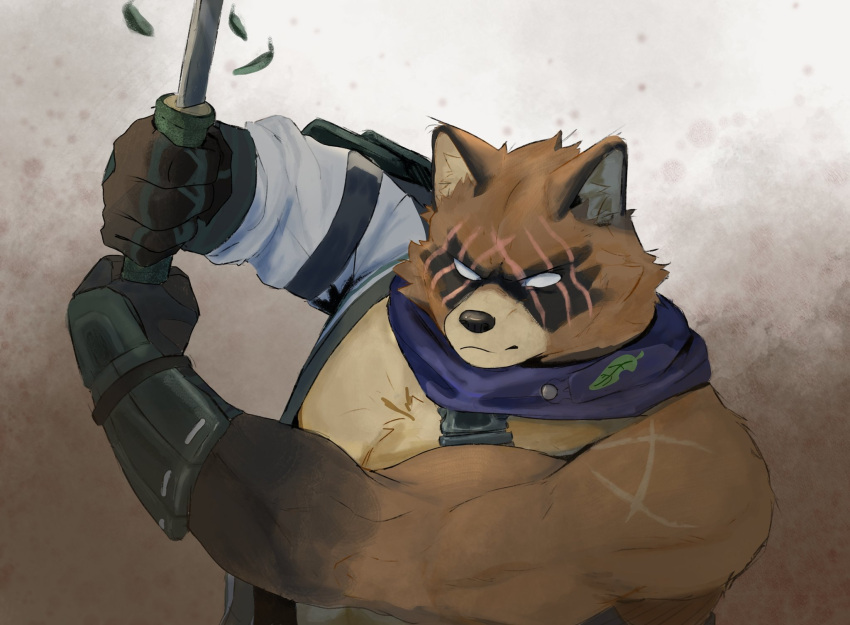 Safebooru - 1boy animal ears closed mouth cross scar english commentary ...