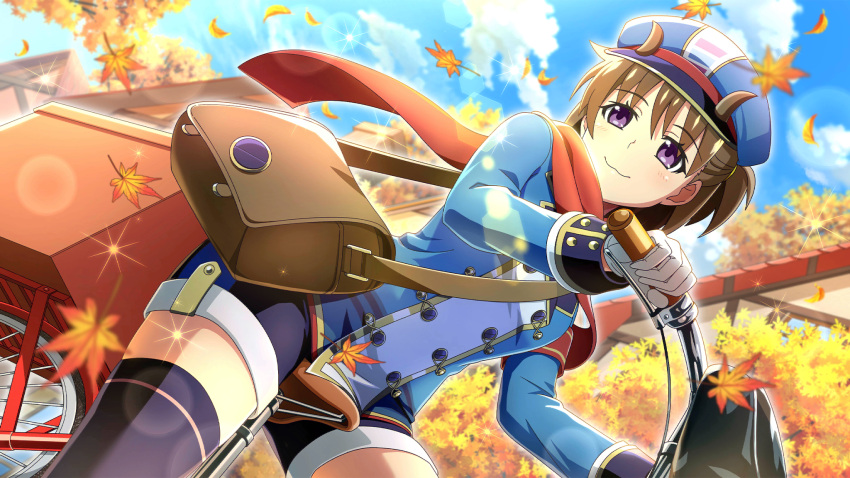 Safebooru - 1girl akasaka miyuki autumn autumn leaves bag bicycle black thighhighs blue hat blue ...