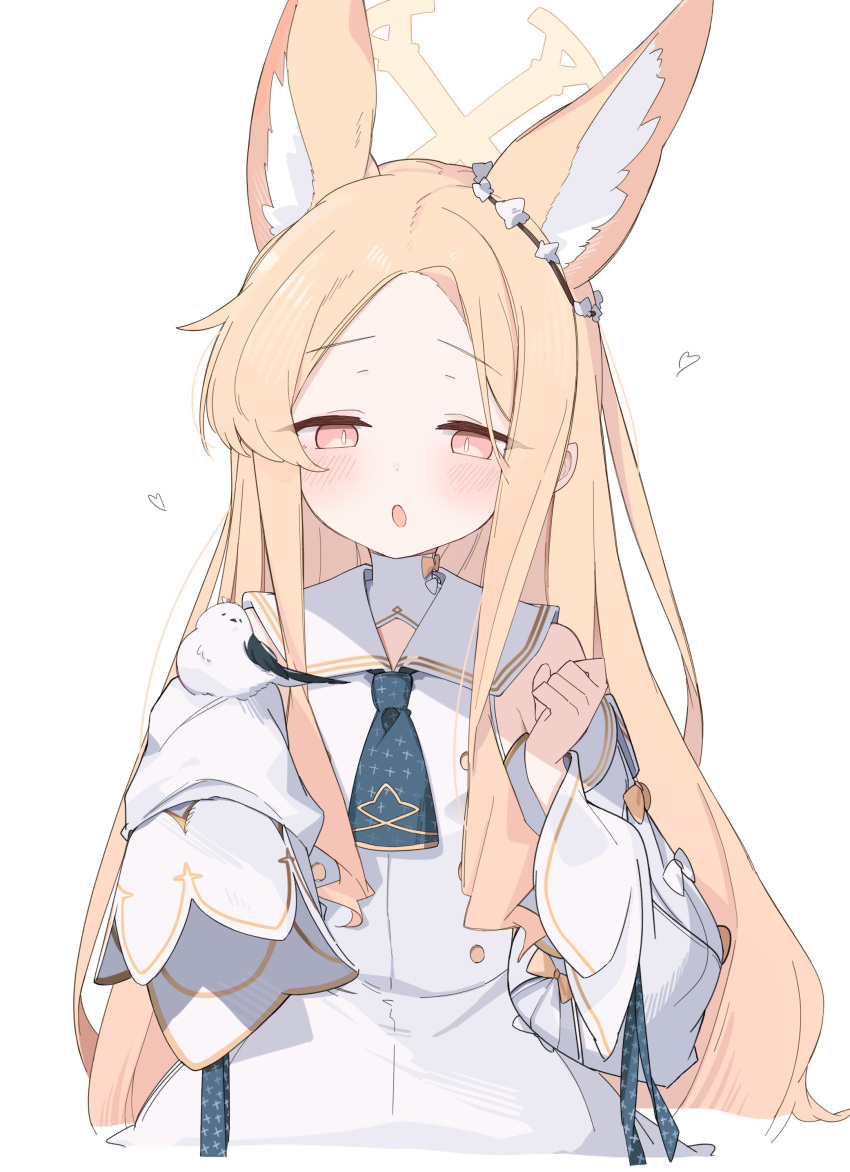 Safebooru - 1girl :o absurdres animal ear fluff animal ears bare shoulders bird bird on hand ...