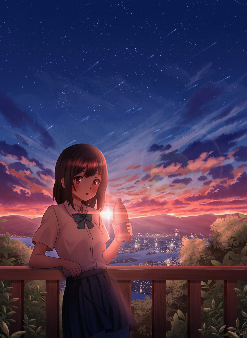 Safebooru - 1girl absurdres against railing black hair black skirt blue sky blush bottle brown ...