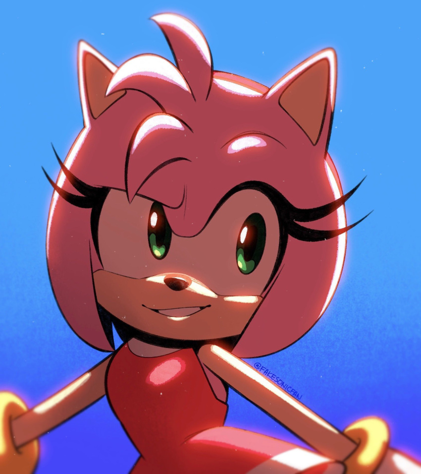 Safebooru - 1girl amy rose artist name blue background dress ...