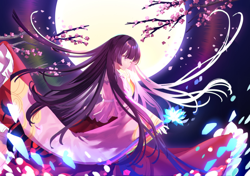 Safebooru - 1girl absurdres black hair blunt bangs brown eyes closed mouth highres houraisan ...