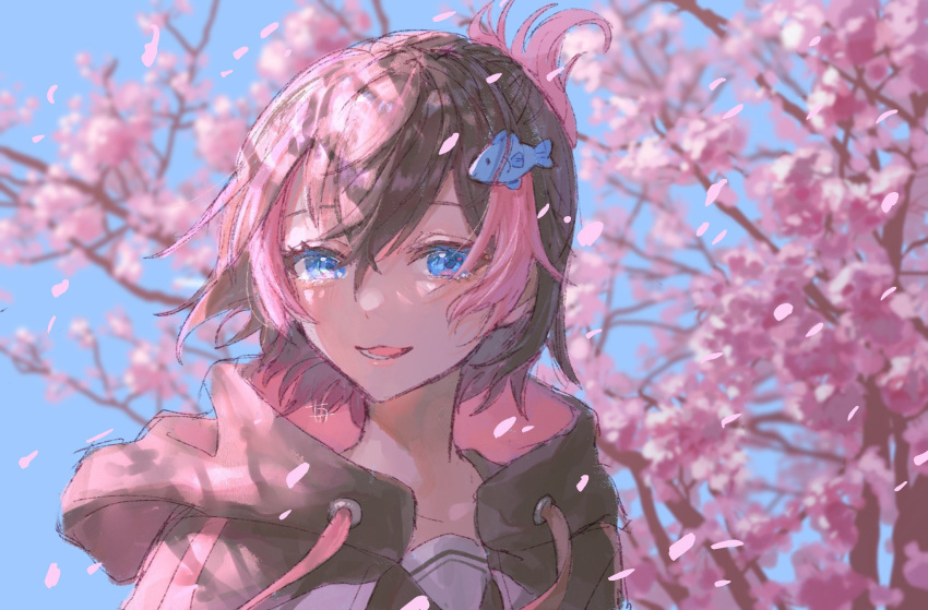 Safebooru 1girl Blue Eyes Brown Hair Cherry Blossoms Day Falling 0145