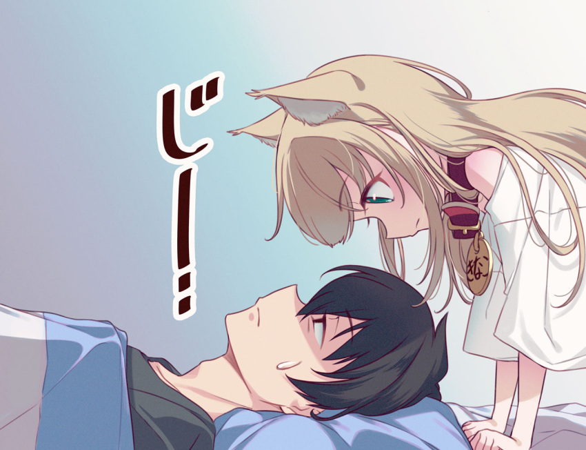 Safebooru - 1boy 1girl 40hara all fours animal collar animal ear fluff animal ears aqua eyes ...