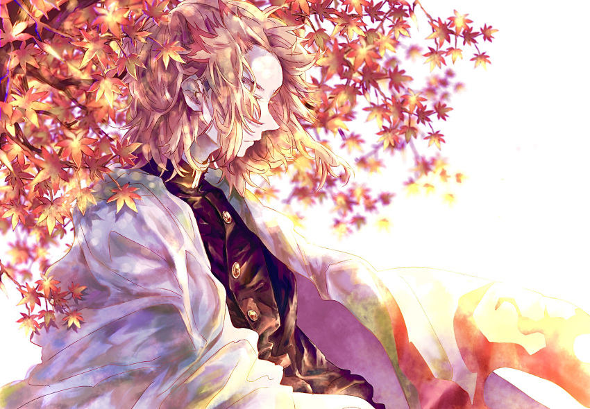 Safebooru - 1boy autumn leaves blonde hair cape colored tips commentary ...