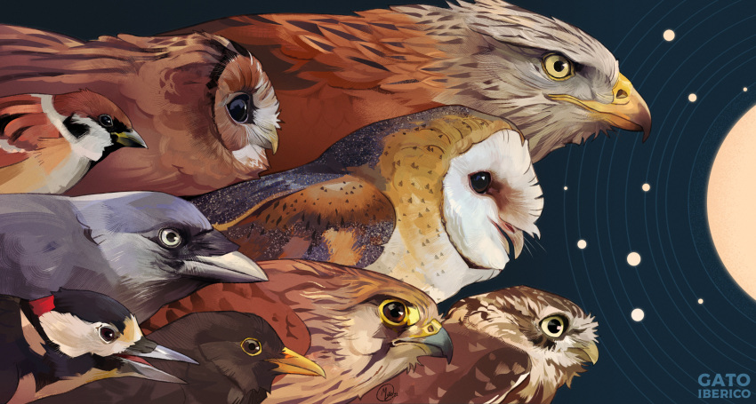 Safebooru - animal animal focus artist name barn owl bird commentary ...