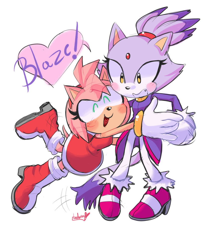 Safebooru - 2girls amy rose blaze the cat blush cat girl dress eyelashes forehead jewel fur ...
