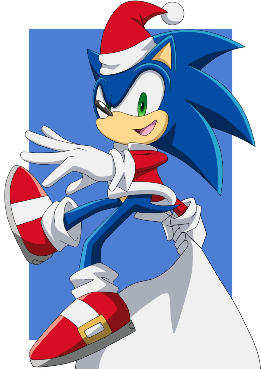 Safebooru - 1boy blue fur furry furry male gloves hat hedgehog hedgehog ...