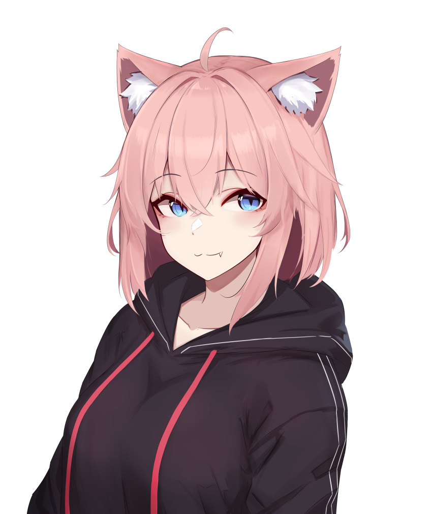 Safebooru - 1girl :3 absurdres animal ear fluff animal ears black hoodie blue eyes cat ears cat ...