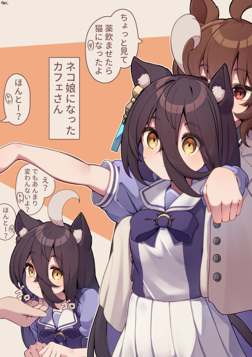 Safebooru - 2girls absurdres agnes tachyon (umamusume) ahoge animal ear fluff animal ears black ...