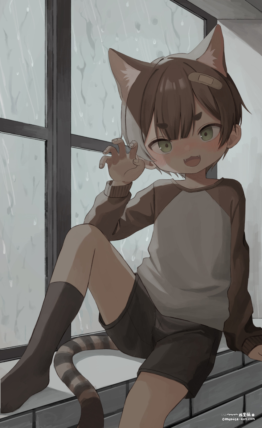 Safebooru - 1boy absurdres animal ears black socks brown hair cat boy cat ears cat tail child ...