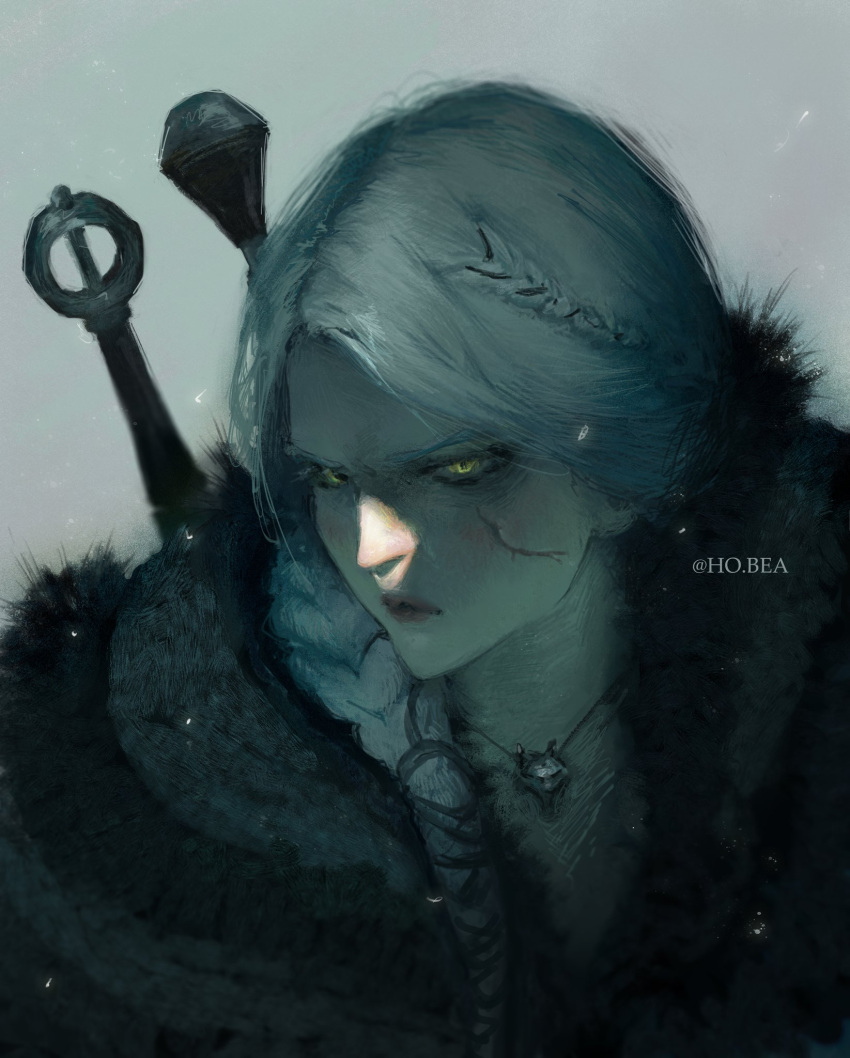 Safebooru - 1girl artist name braid braided ponytail ciri green eyes ...