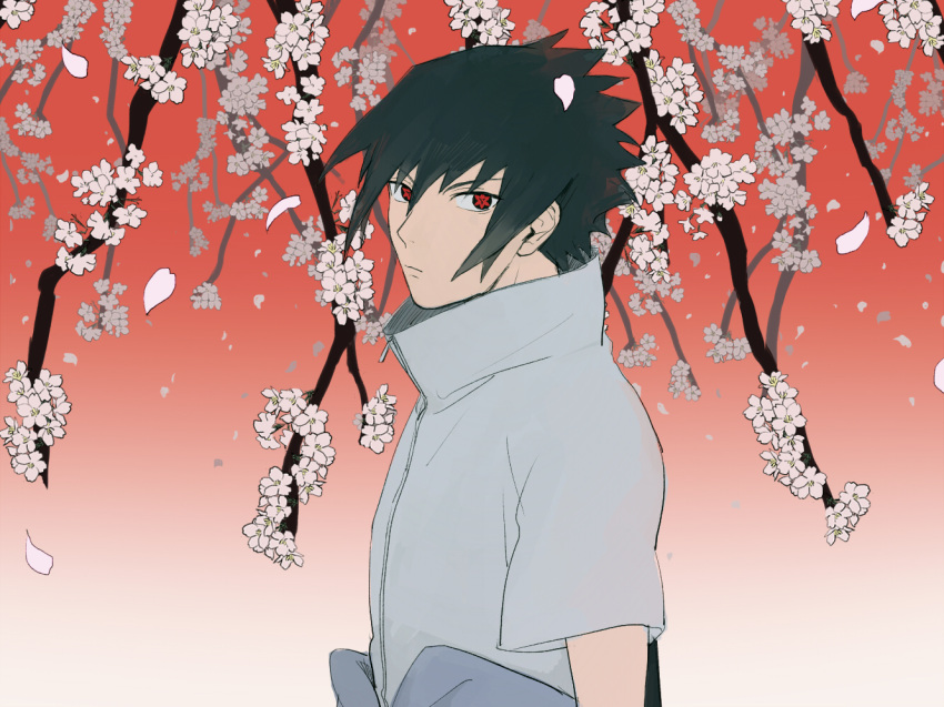 Safebooru - 1boy azkn bishounen black hair branch cherry blossoms ...