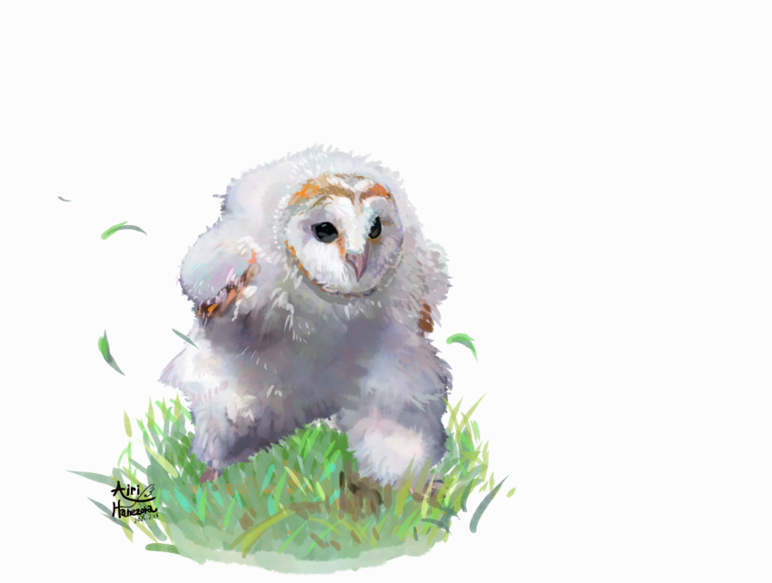 Safebooru - airihanezora animal animal focus artist name barn owl bird ...