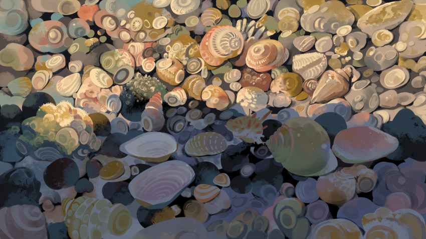 Safebooru - bangqiao yan clam conch day highres no humans original outdoors scenery seashell ...