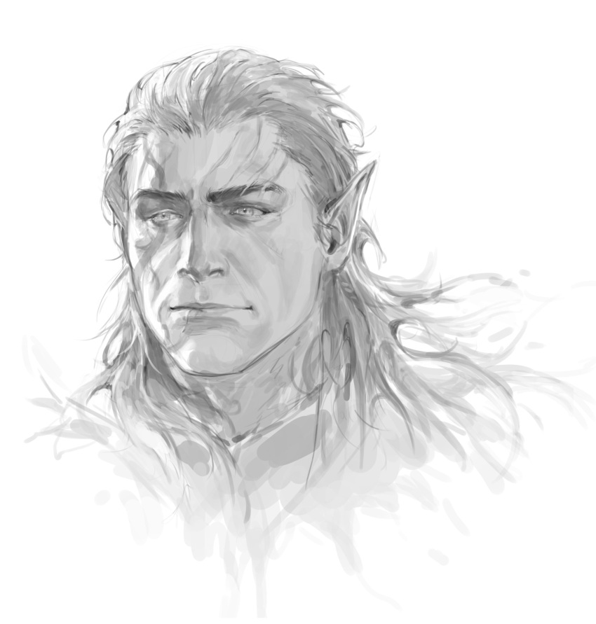 Safebooru 1boy Baldurs Gate Baldurs Gate 3 Braid Cropped Head Dark 7965