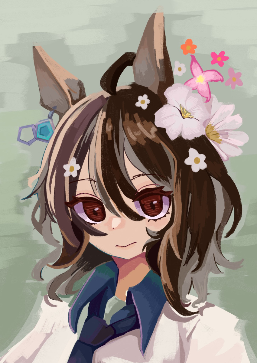 Safebooru - 1girl agnes tachyon (umamusume) ahoge animal ears brown ...