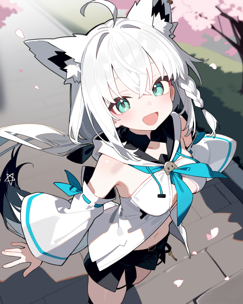 Safebooru - 1girl ahoge animal ears black shorts blue eyes blue neckerchief blush cherry ...