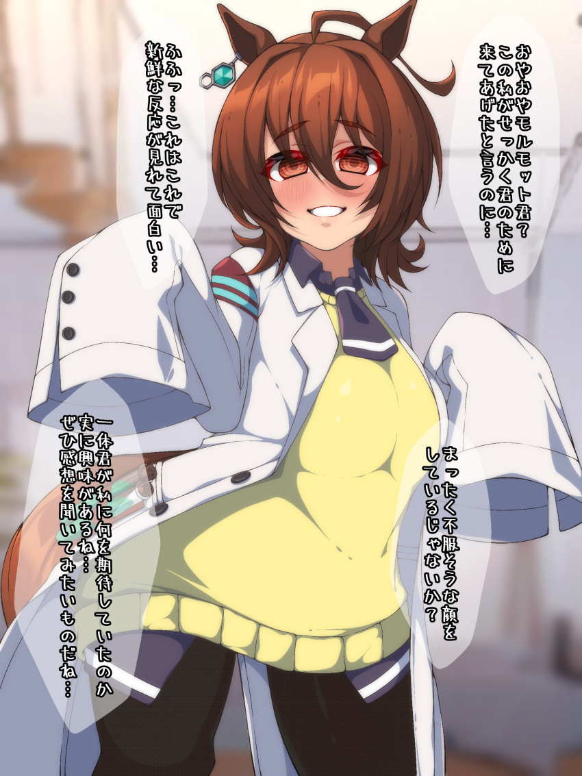 Safebooru - 1girl absurdres agnes tachyon (umamusume) animal ears blush brown hair highres lab ...