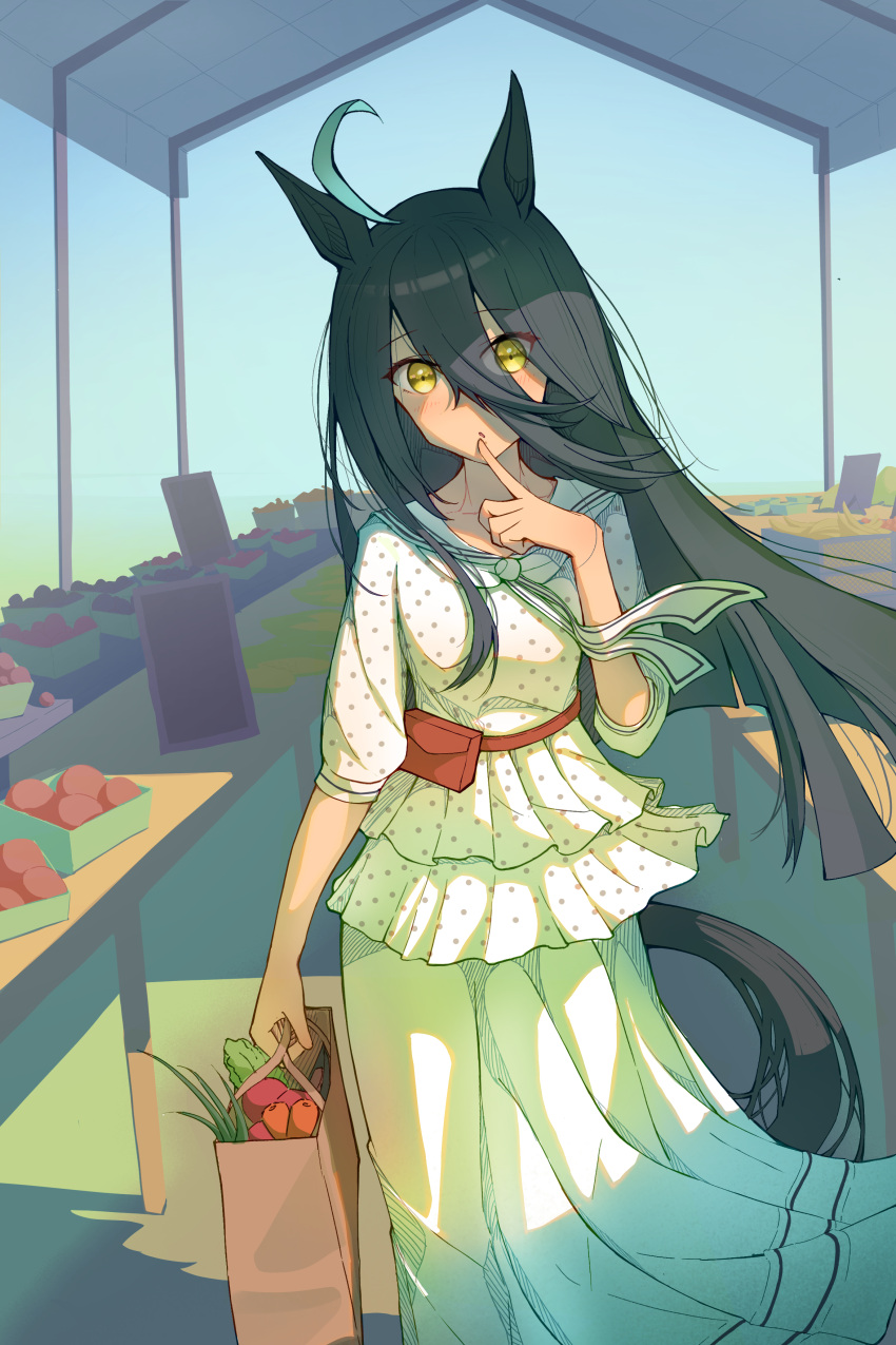 Safebooru - 1girl absurdres ahoge animal ears bag black hair dev grater dress feet out of frame ...