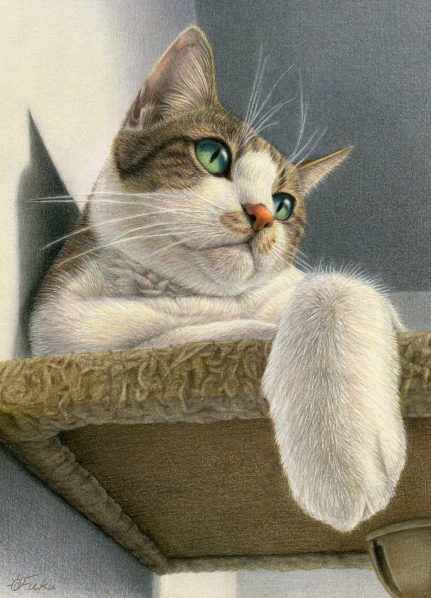 Safebooru - animal animal focus cat cat tower closed mouth colored ...