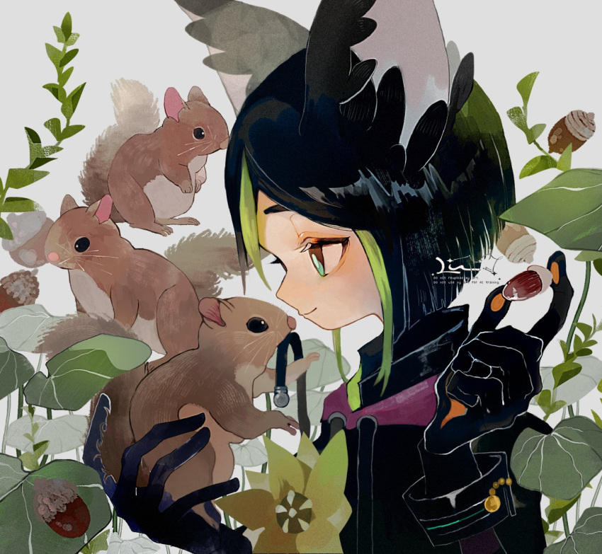 Safebooru - 1boy acorn animal animal ear fluff animal ears black coat ...