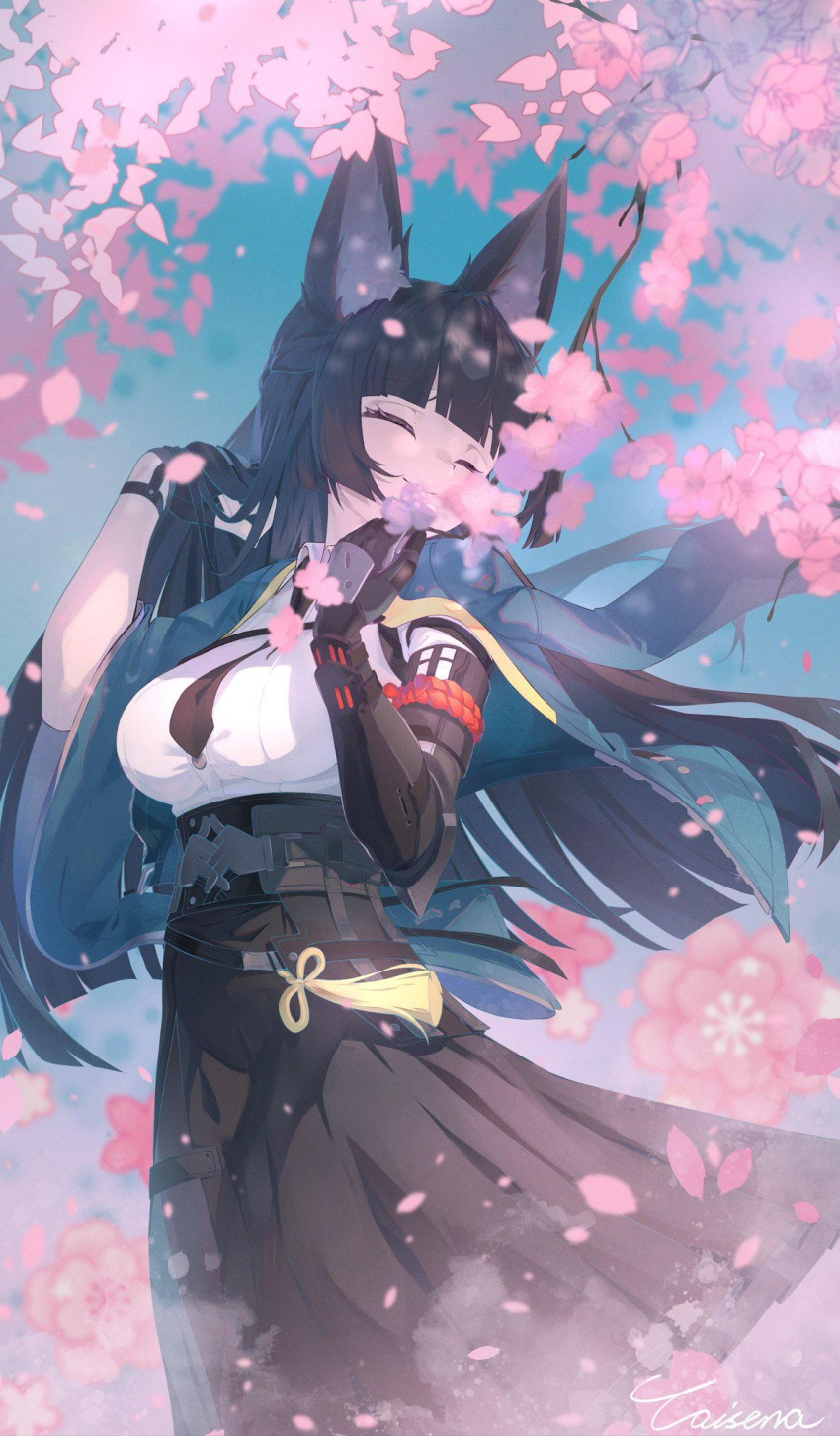 Safebooru - 1girl animal ears cherry blossoms fox ears happy hoshimi ...