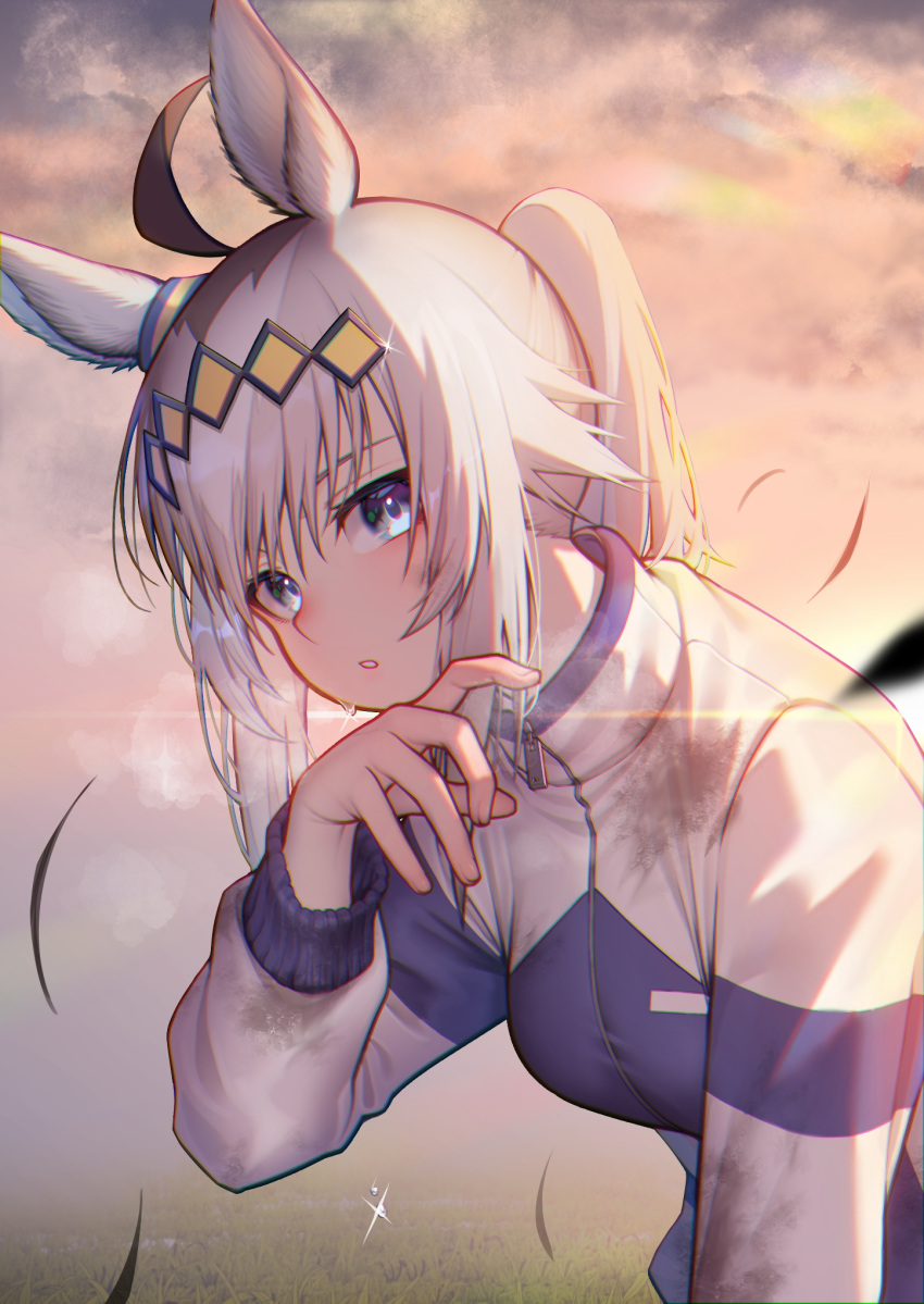Safebooru - 1girl ahoge akuma (st.takuma) animal ears blue eyes breasts ...