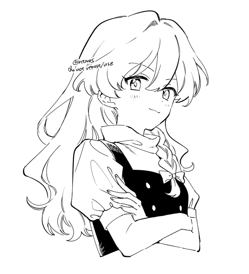 Safebooru - 1girl :3 blush bow braid commentary request cropped torso ...