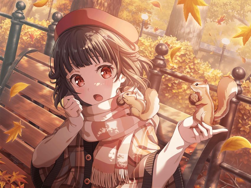 Safebooru - bang dream! black hair blush jacket official art red eyes short hair ushigome rimi ...