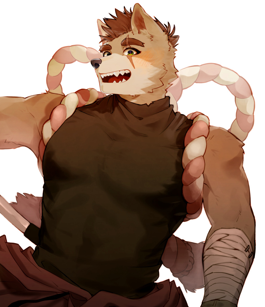 Safebooru - 1boy absurdres animal ears bandaged arm bandages black shirt blush brown hair dog ...