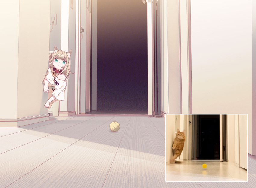 Safebooru - 1girl 40hara animal ear fluff animal ears ball blue eyes brown hair cat cat ears cat ...