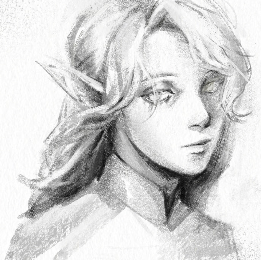 Safebooru - 1boy dungeon meshi elf greyscale hair over one eye highres looking at viewer medium ...