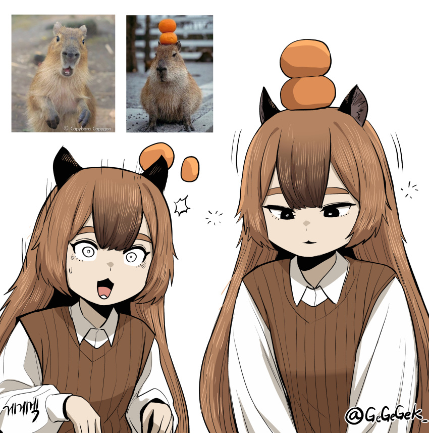Safebooru - 1girl absurdres animal ears black eyes brown vest capybara ...