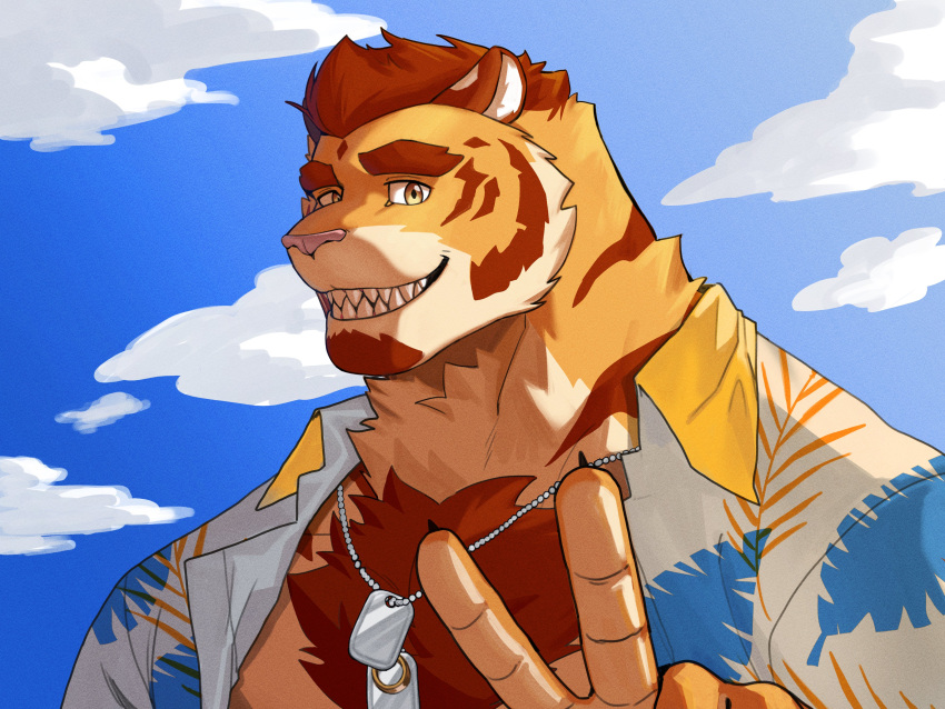 Safebooru - 1boy absurdres animal ears another eidos-r blue sky chest ...