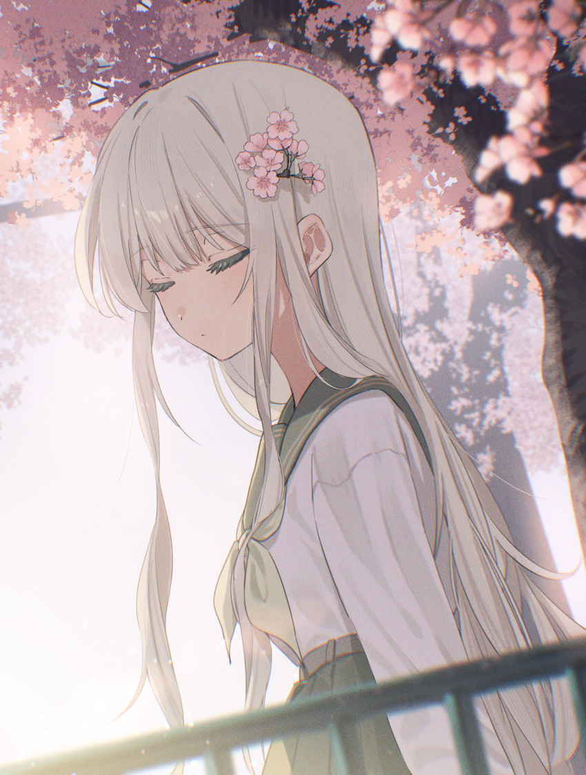 Safebooru - 1girl absurdres backlighting belt blurry blurry foreground branch cherry blossoms ...