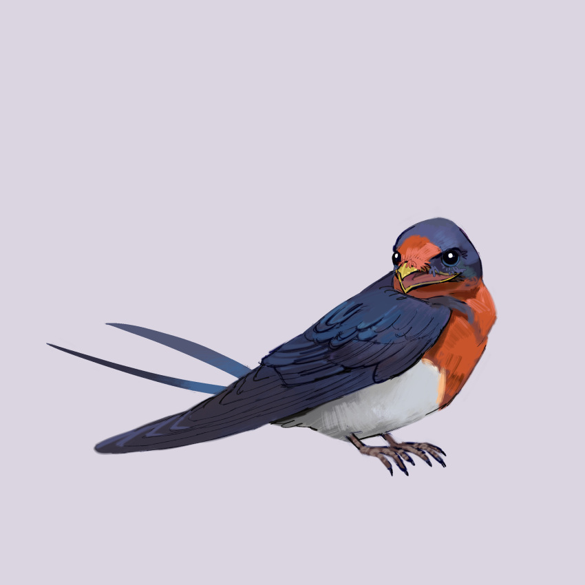 Safebooru - absurdres animal focus bird commentary full body grey background highres looking to ...