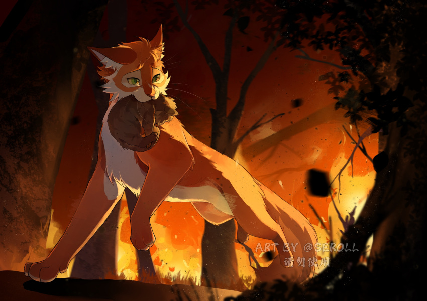Safebooru - absurdres animal animal focus bramblestar brown cat ...