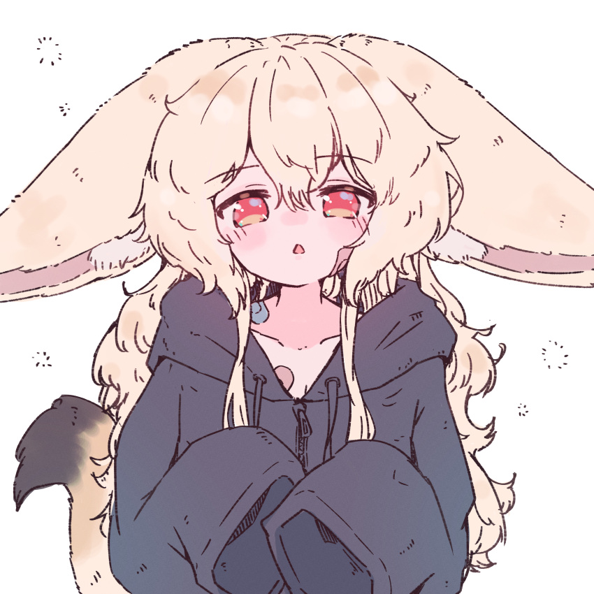 Safebooru - 1girl absurdres animal ear fluff animal ears bandaid bandaid on face black hoodie ...