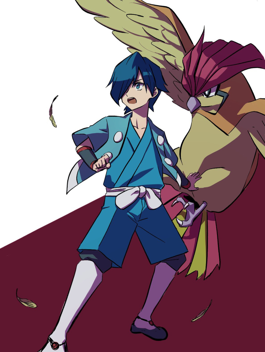 Safebooru - 1boy bird blue eyes blue hair commentary request falkner ...