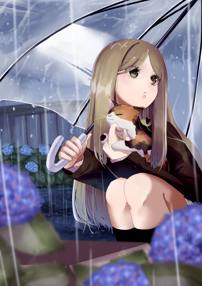 Safebooru - 1girl absurdres animal black socks blue flower brown cardigan calico cat cardigan ...