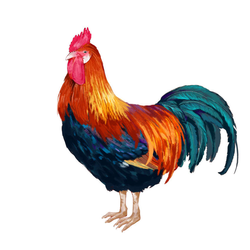 Safebooru - absurdres animal animal focus bird chicken full body highres no humans original ...