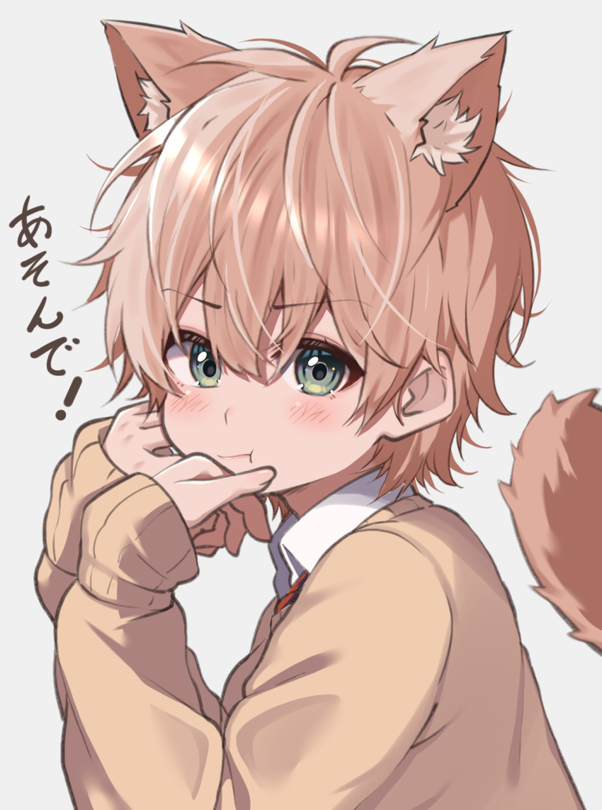 Safebooru - 1boy :t animal ear fluff animal ears blush cat boy cat ears ...