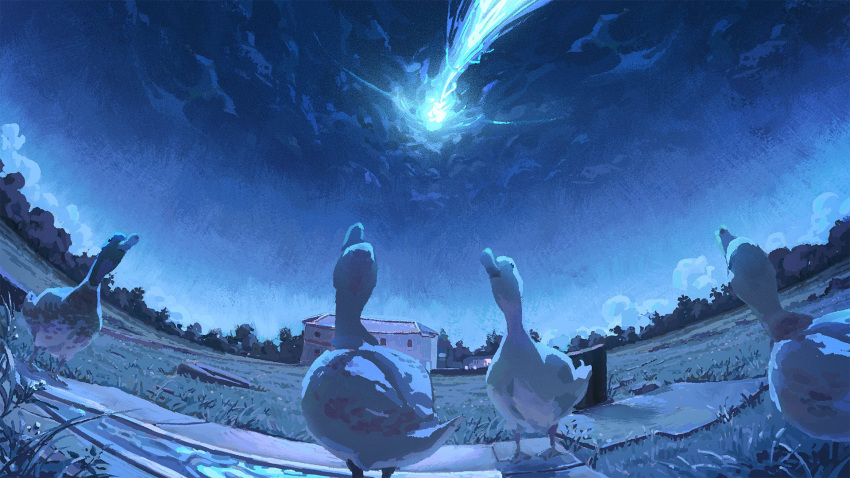 Safebooru - animal animal focus bird blue sky building clouds commentary duck ducks looking up ...