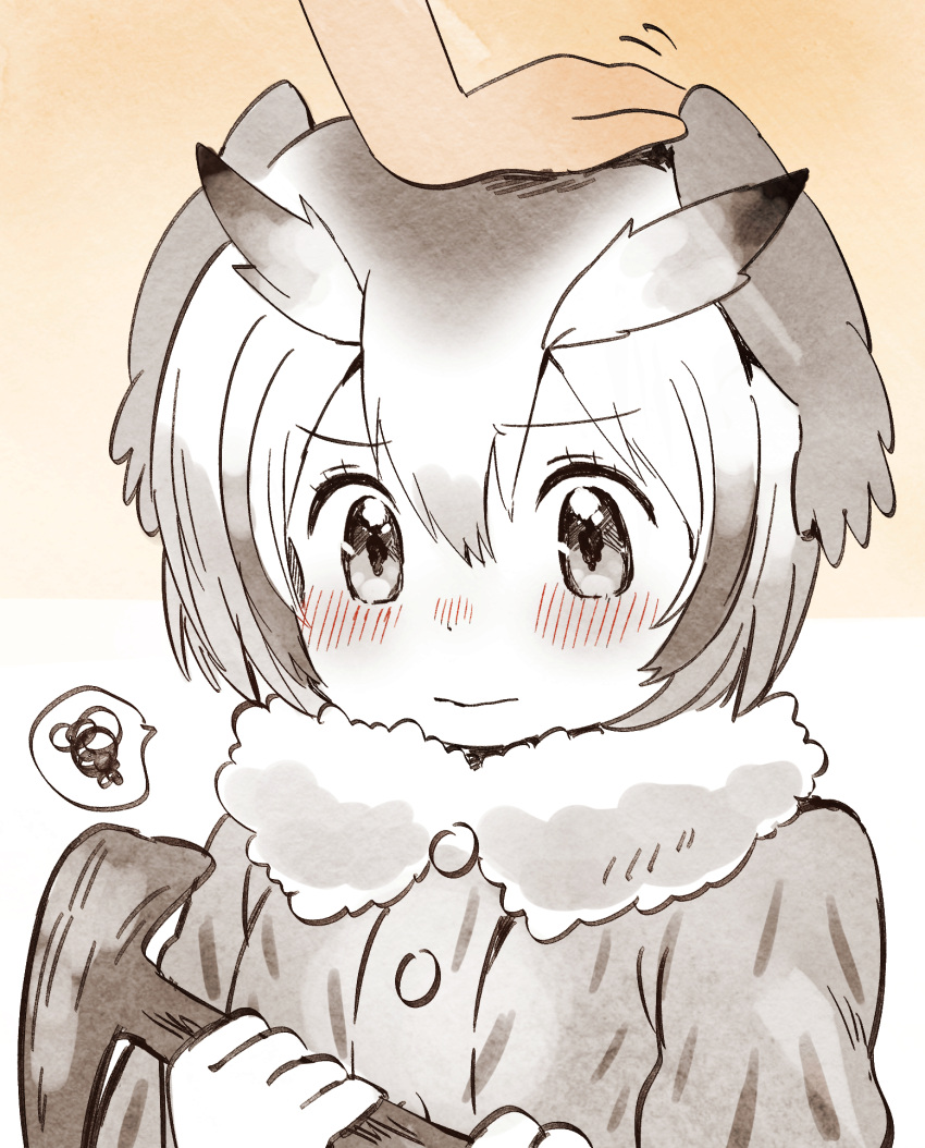 Safebooru - 1girl blush coat dot nose eyelashes fur collar hair between ...