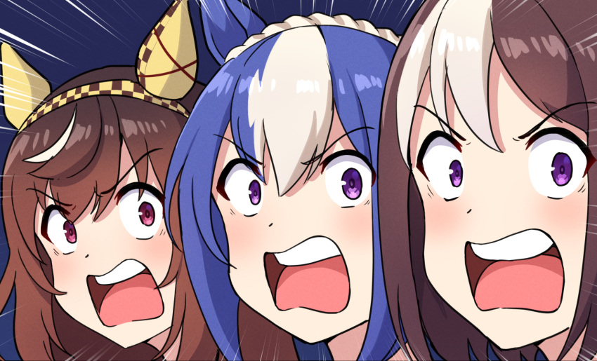 Safebooru - 3girls agemasen! (meme) animal ears blue background blue ...