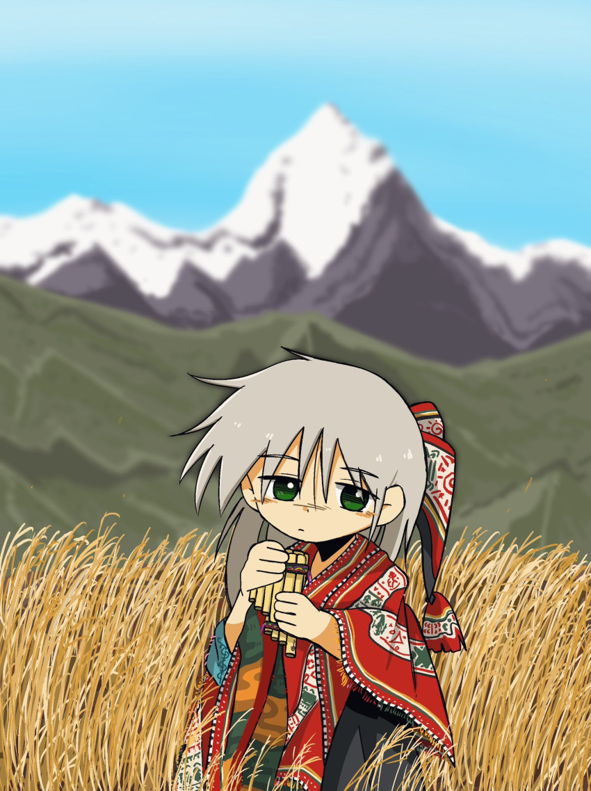 Safebooru - 1girl closed mouth day grass green eyes grey hair highres ...