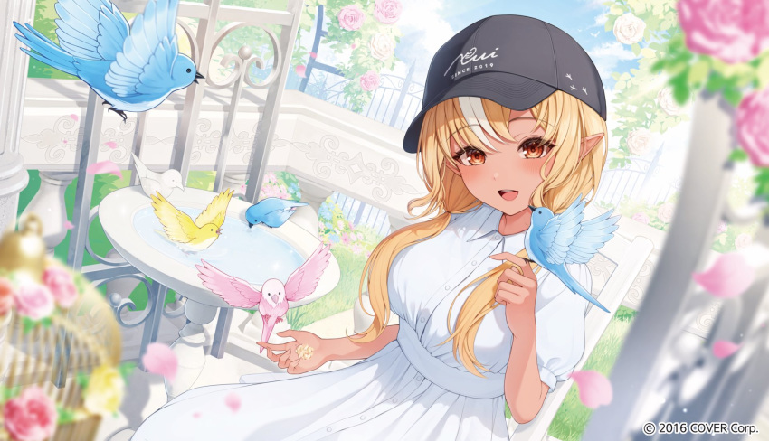 Safebooru - 1girl :d alternate costume alternate hairstyle baseball cap bird bird on hand ...