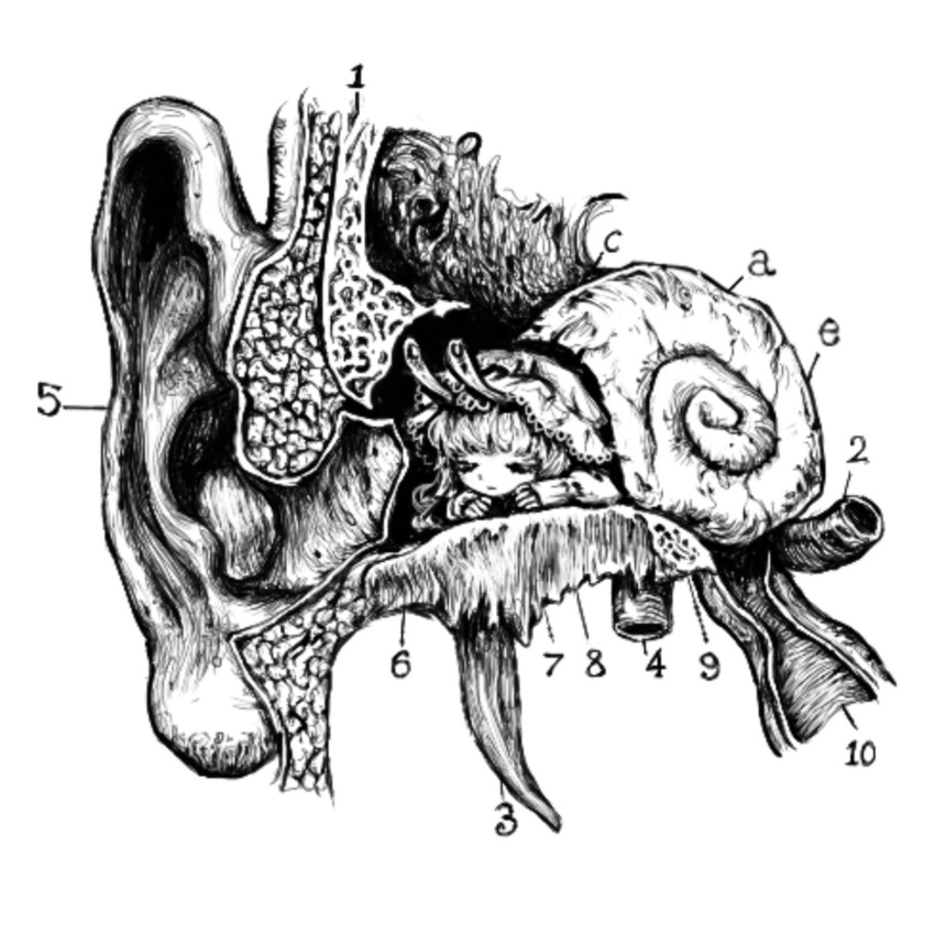 Safebooru - 1girl antennae closed eyes closed mouth commentary cross-section ear focus english ...