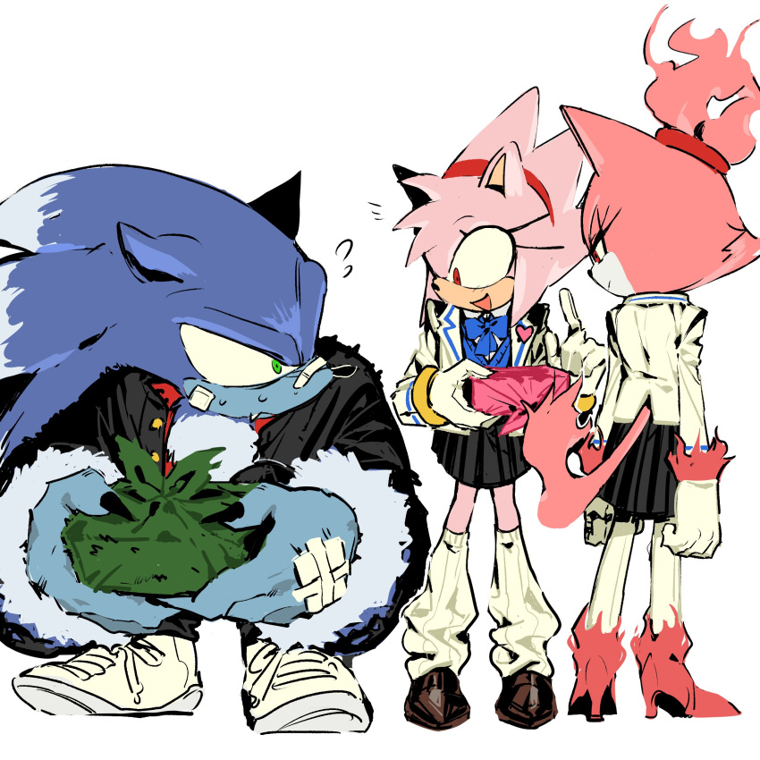 Safebooru - 1boy 2girls absurdres amy rose animal ears blaze the cat blue fur burning blaze cat ...